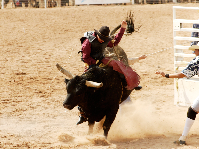 Gallery 2 | Lost Dutchman Days RodeoLost Dutchman Days Rodeo