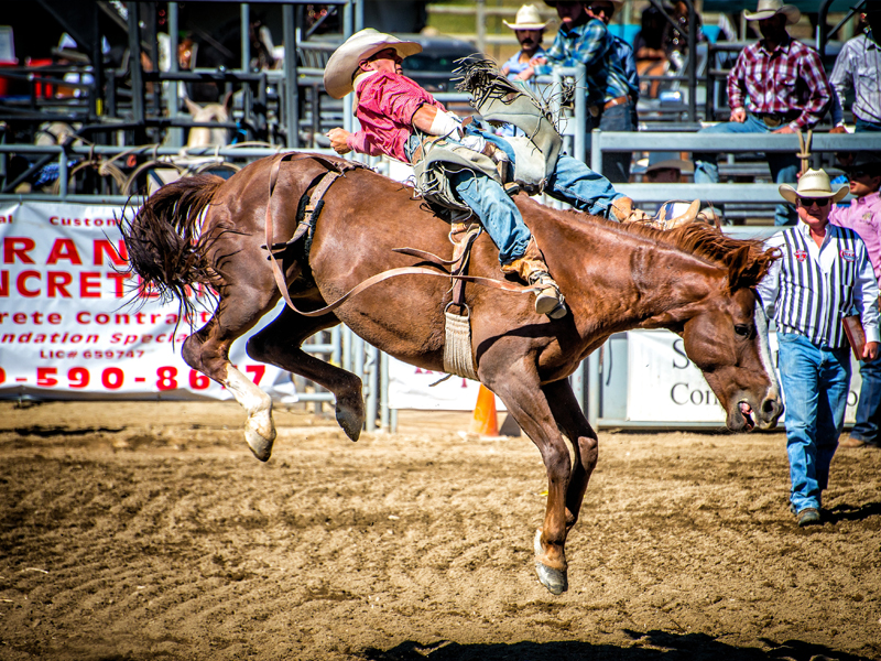 Gallery 2 | Lost Dutchman Days Rodeo