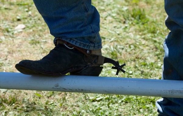 Gallery 2 | Lost Dutchman Days RodeoLost Dutchman Days Rodeo