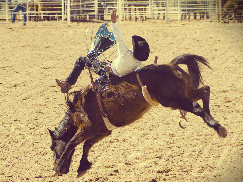 post-5 | Lost Dutchman Days Rodeo
